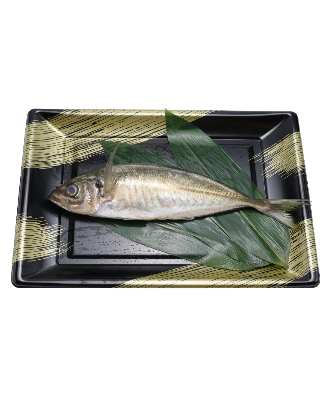 Fresh Aji (~200g each, MOQ: 3 pcs) – Himawari Shoten